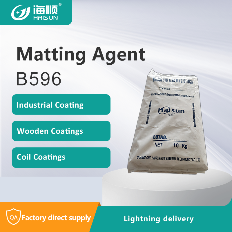 Matting agent B596 - Guangdong Haisun NewMaterial Technology Co., Ltd.